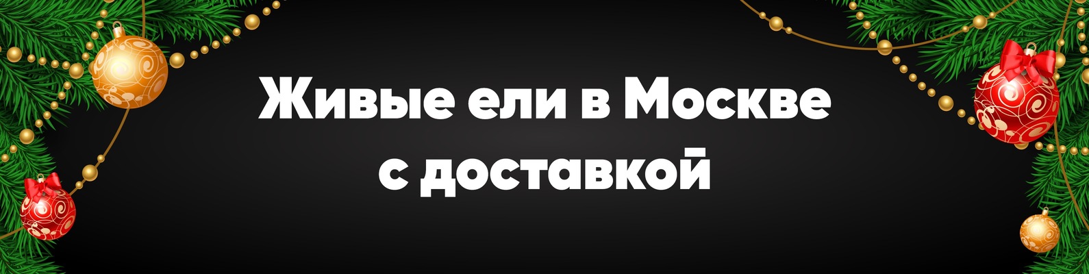 Живые Ели в Москве с доставкой | Елки, сосны, пихты, лапники на новый ...