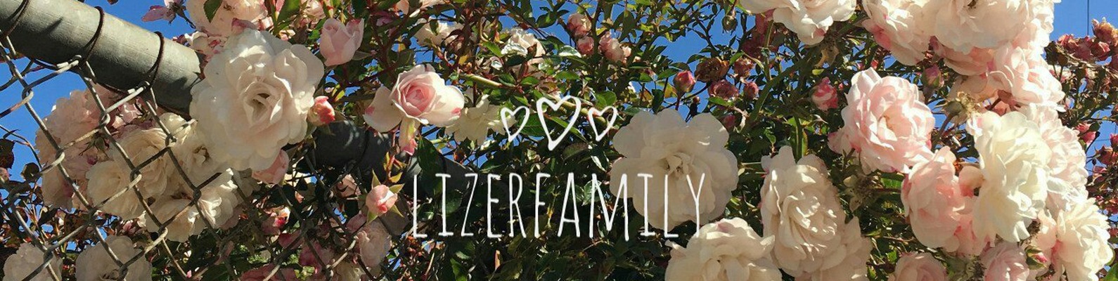 LIZER FAMILY 2025 | ВКонтакте